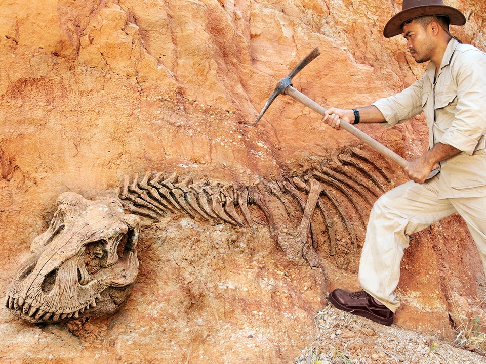 Can we Dig for Fossils? - Little to Great Scientists