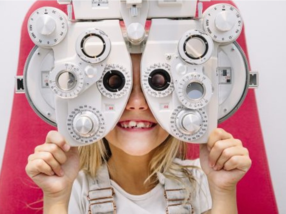 How Do Our Eyes Work? - Little to Great Scientists