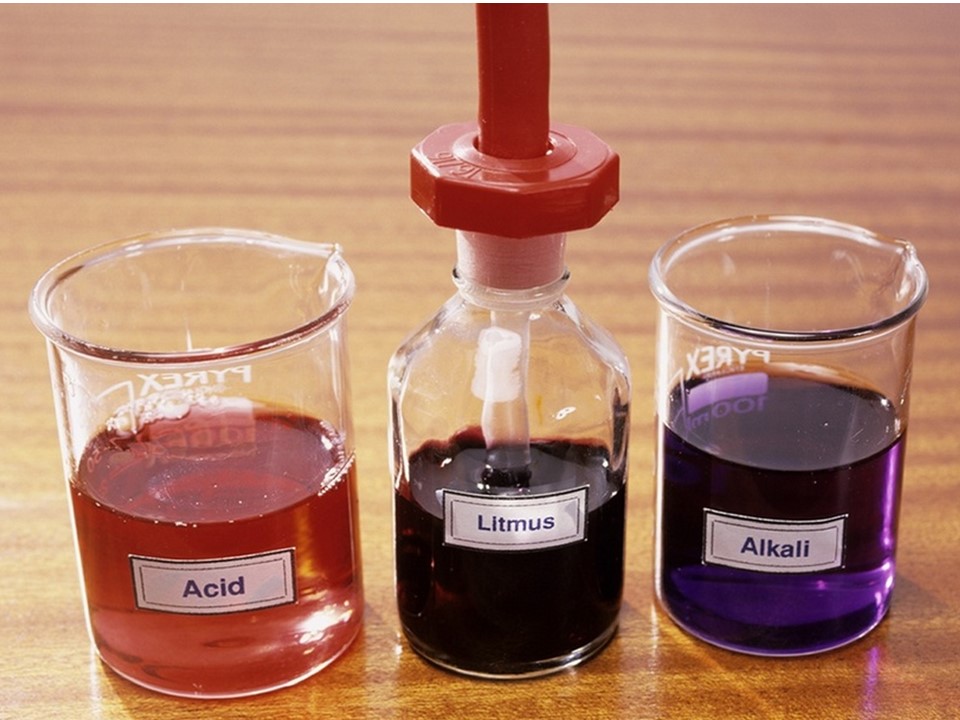 What are Indicators? - Little to Great Scientists