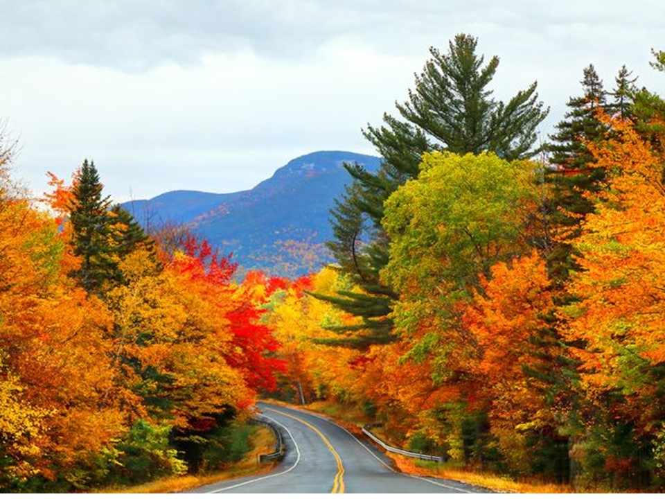 What are the Characteristics of the Season of Fall? - Little to Great ...