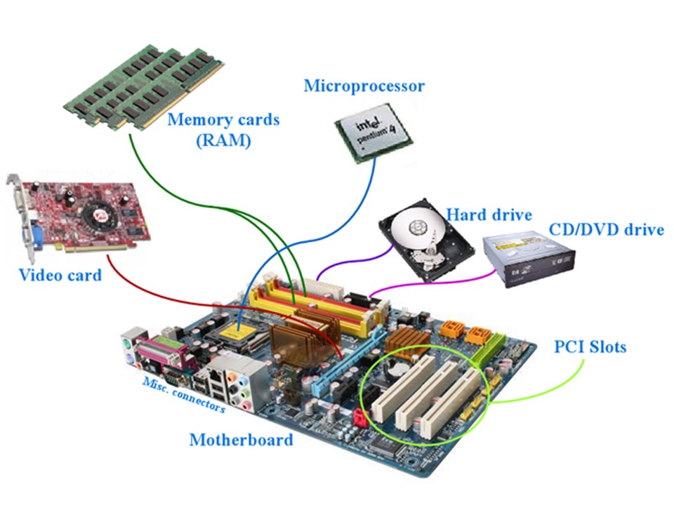 What are the Components of a Computer? - Little to Great Scientists