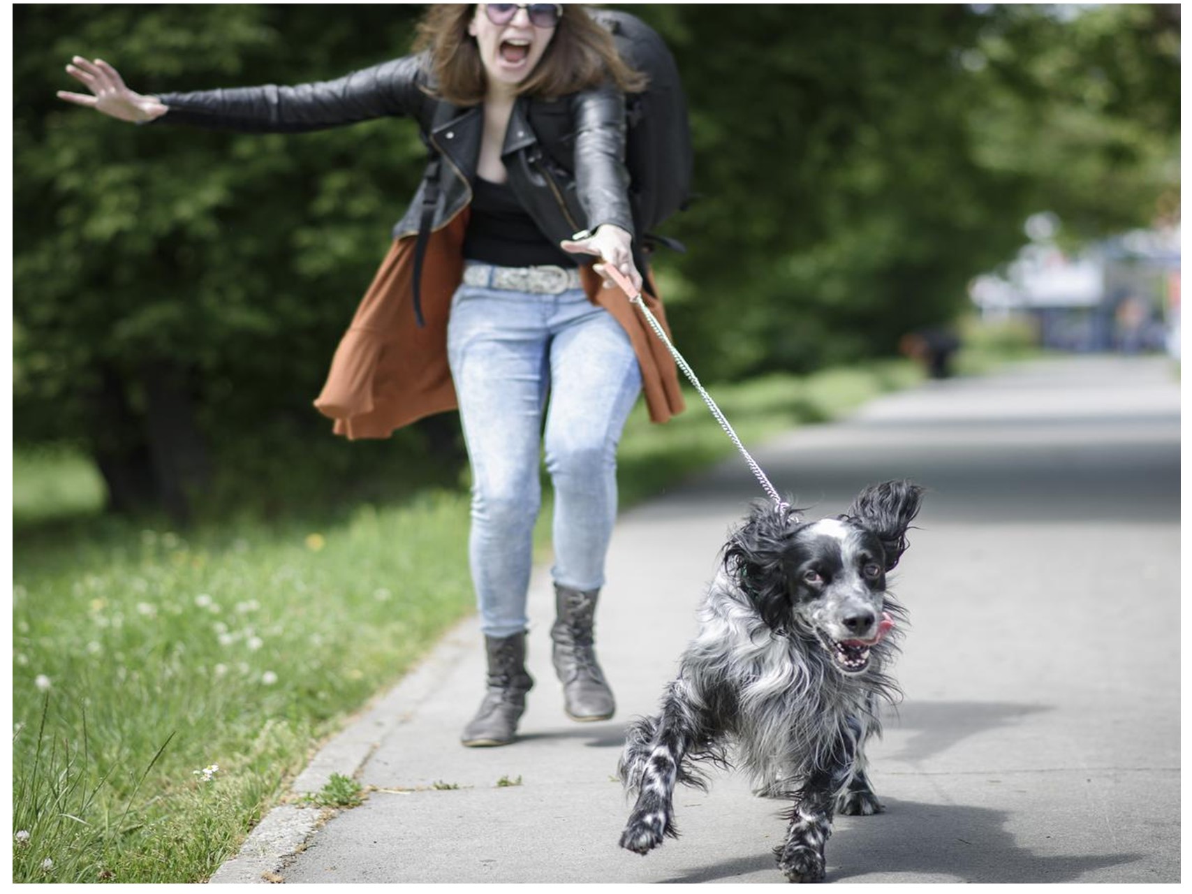 What Forces Affect Motion? - Little to Great Scientists