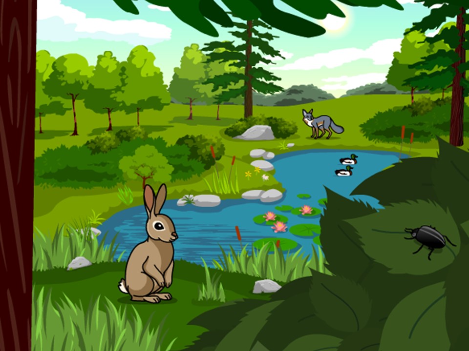 What is an Ecosystem? - Little to Great Scientists