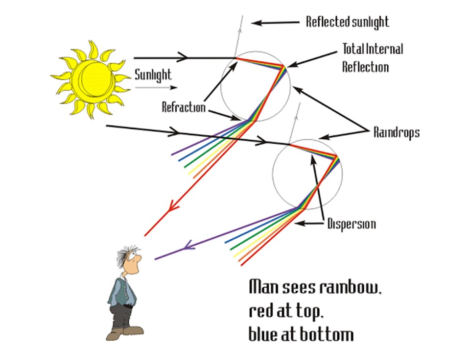 What is Reflection and Refraction? - Little to Great Scientists
