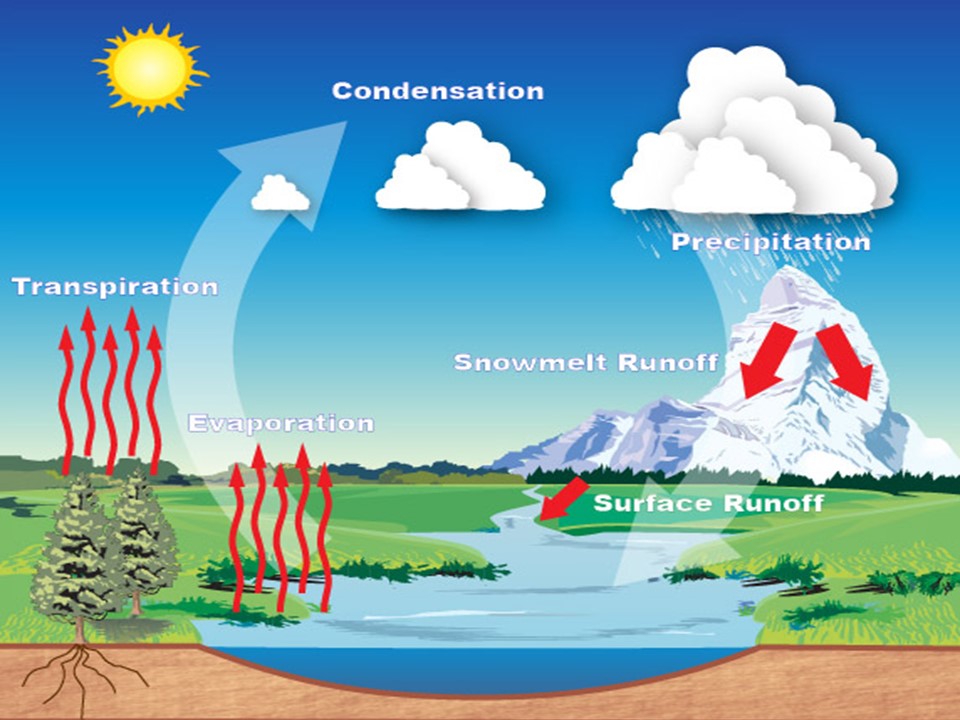 What is the Water Cycle? - Little to Great Scientists