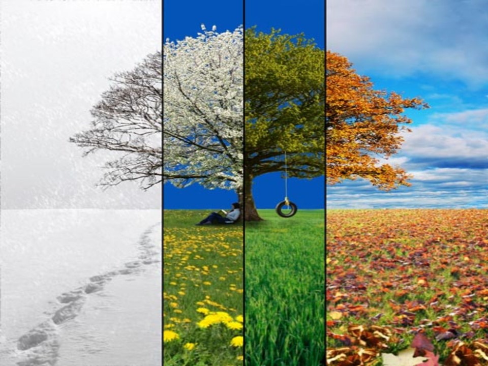 What Makes the Changing Seasons? - Little to Great Scientists
